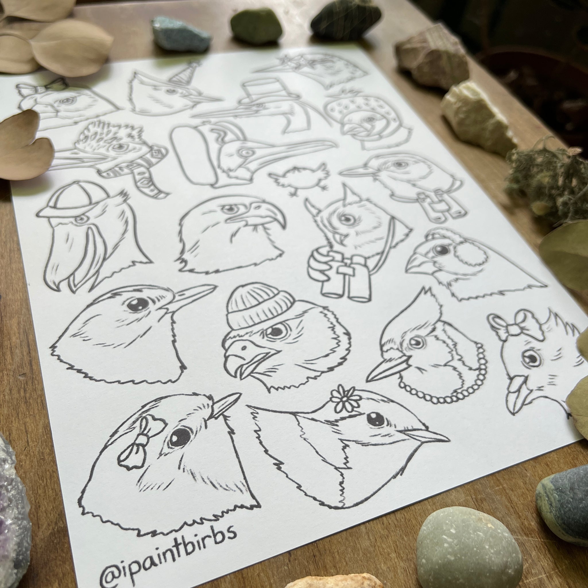 Birb Portraits: Part One | Coloring Page – Liz Clayton Fuller | Natural ...