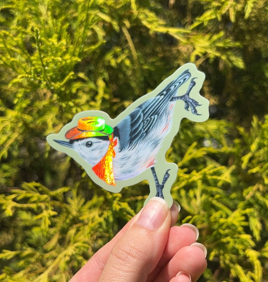 Shop – Liz Clayton Fuller | Natural Science Illustration