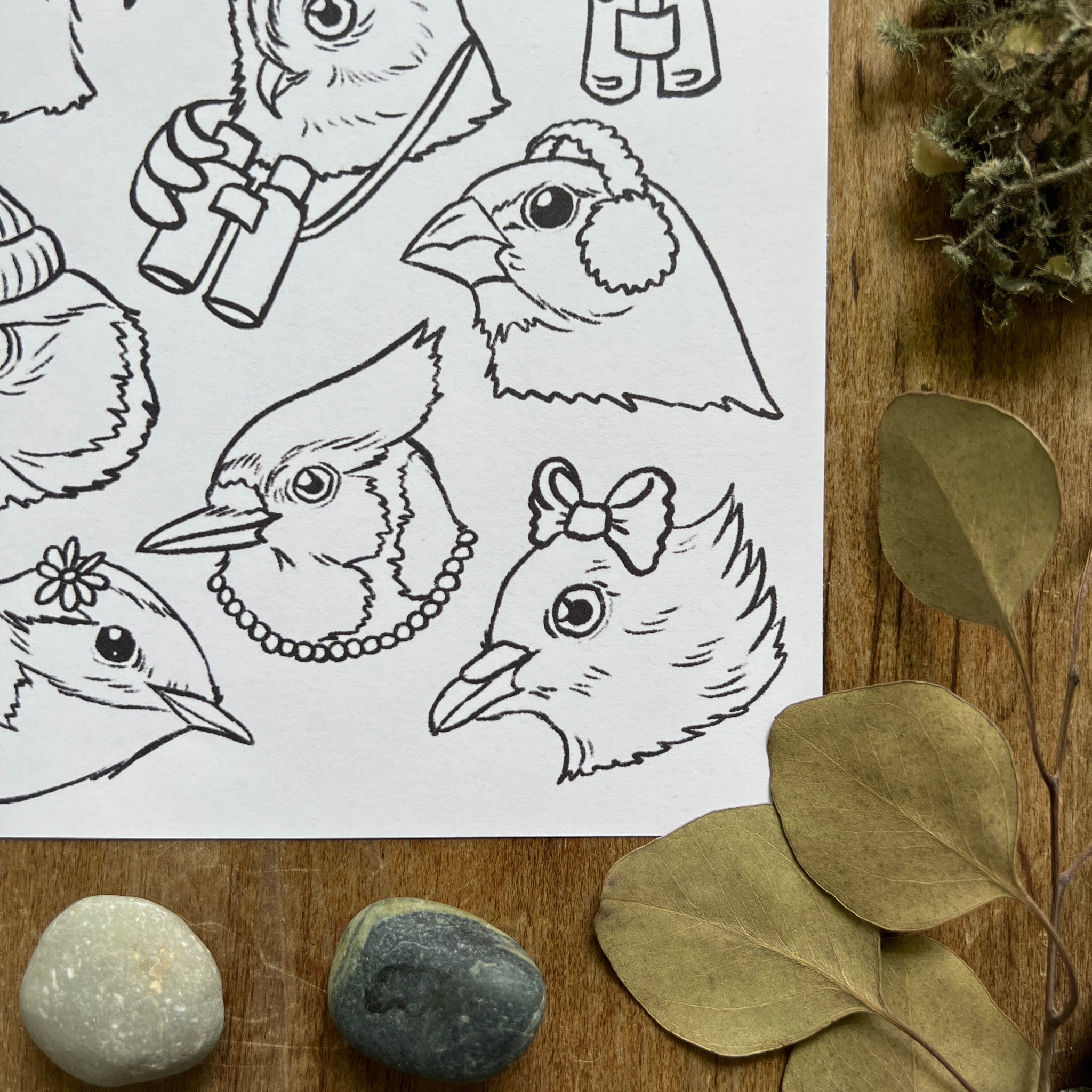 Birb Portraits: Part One | Coloring Page – Liz Clayton Fuller | Natural ...