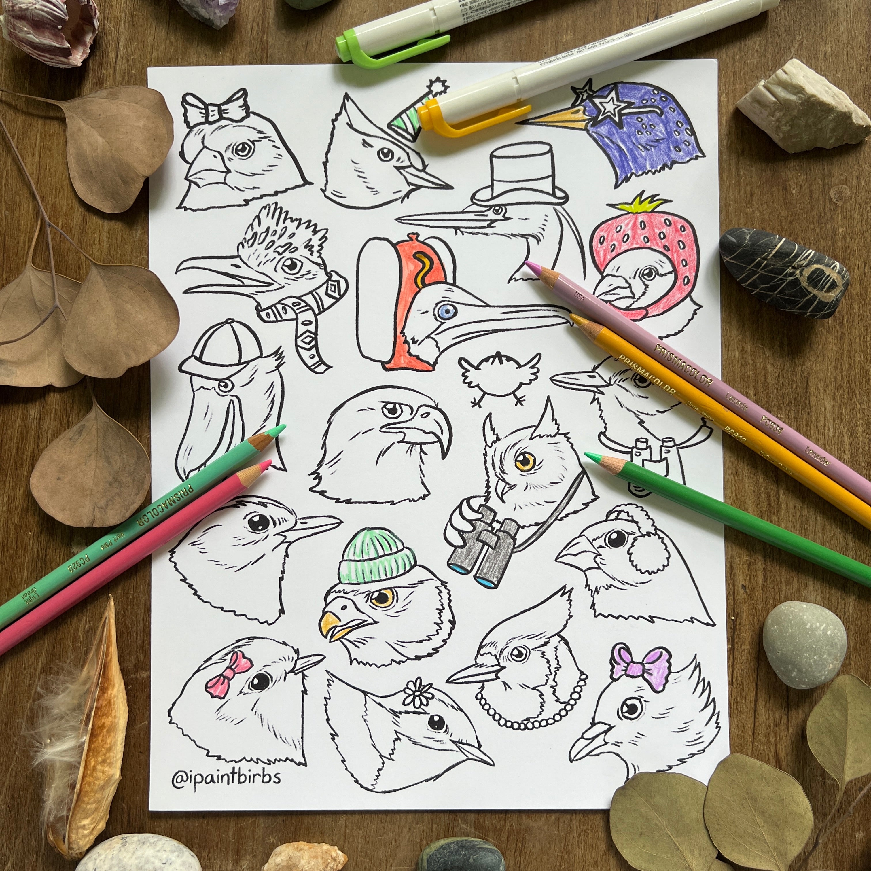 Birb Portraits: Part One | Coloring Page – Liz Clayton Fuller | Natural ...