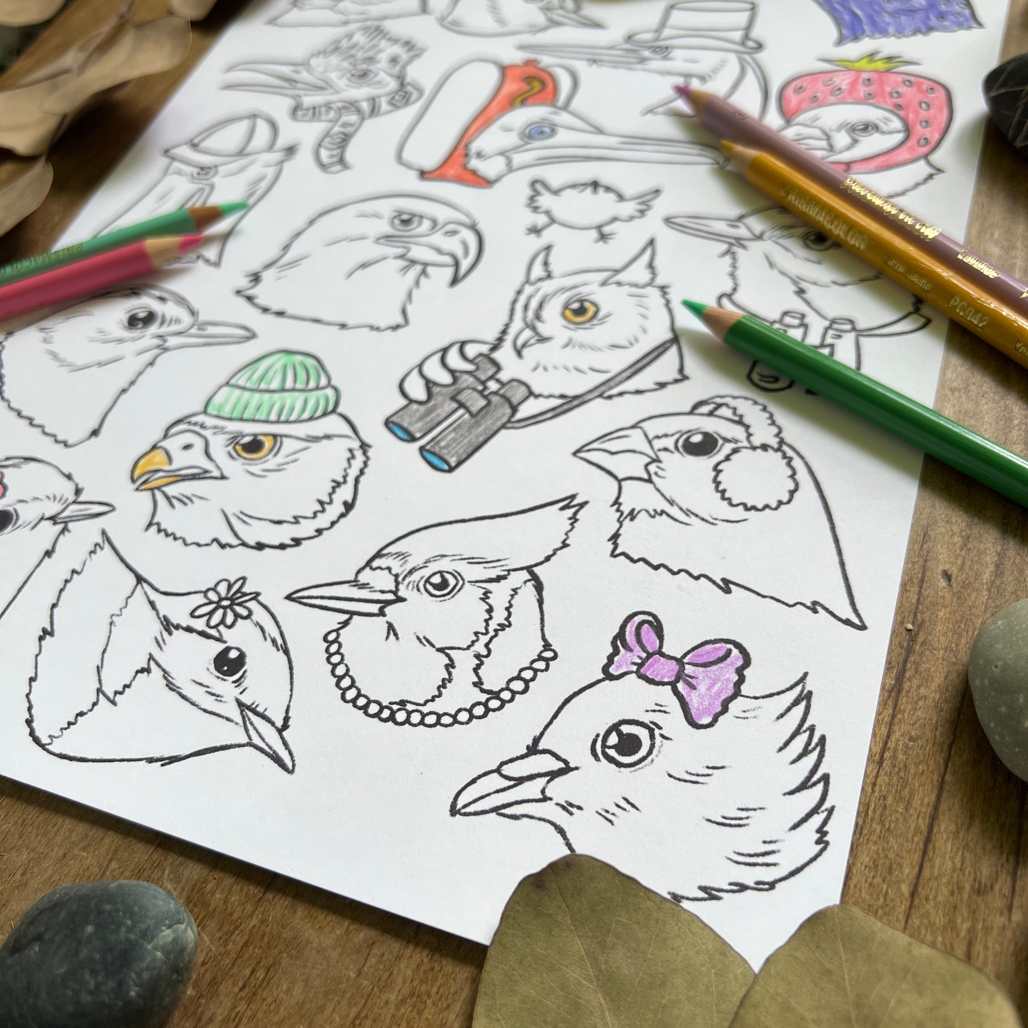 Birb Portraits: Part One | Coloring Page – Liz Clayton Fuller | Natural ...