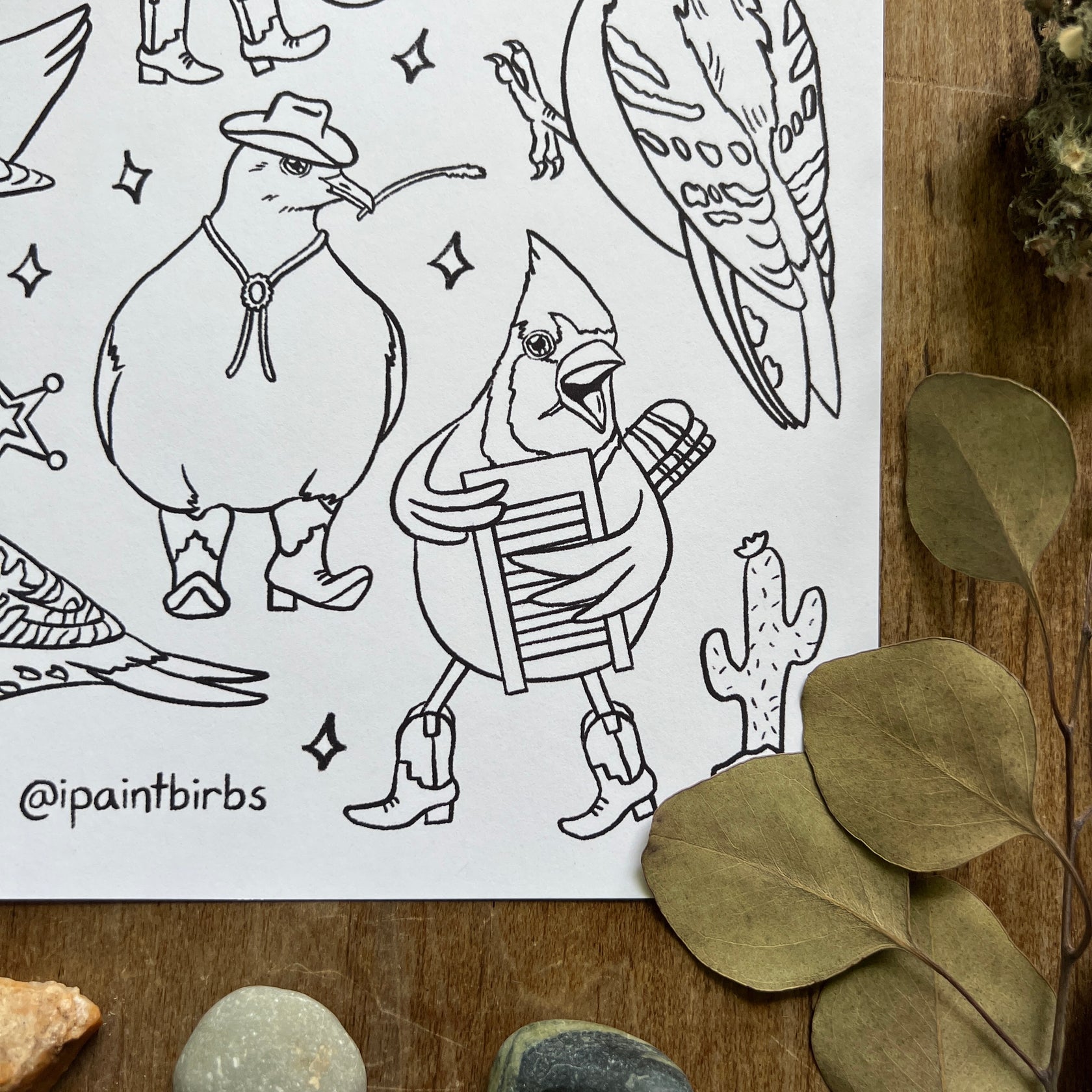 Yeehaw Birbs | Coloring Page – Liz Clayton Fuller | Natural Science ...
